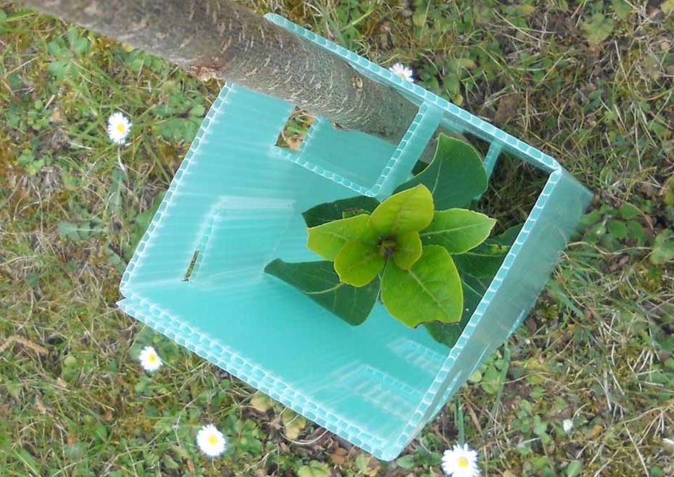 Polypropylène Alvéolaire et Propylène plein - Proplastik